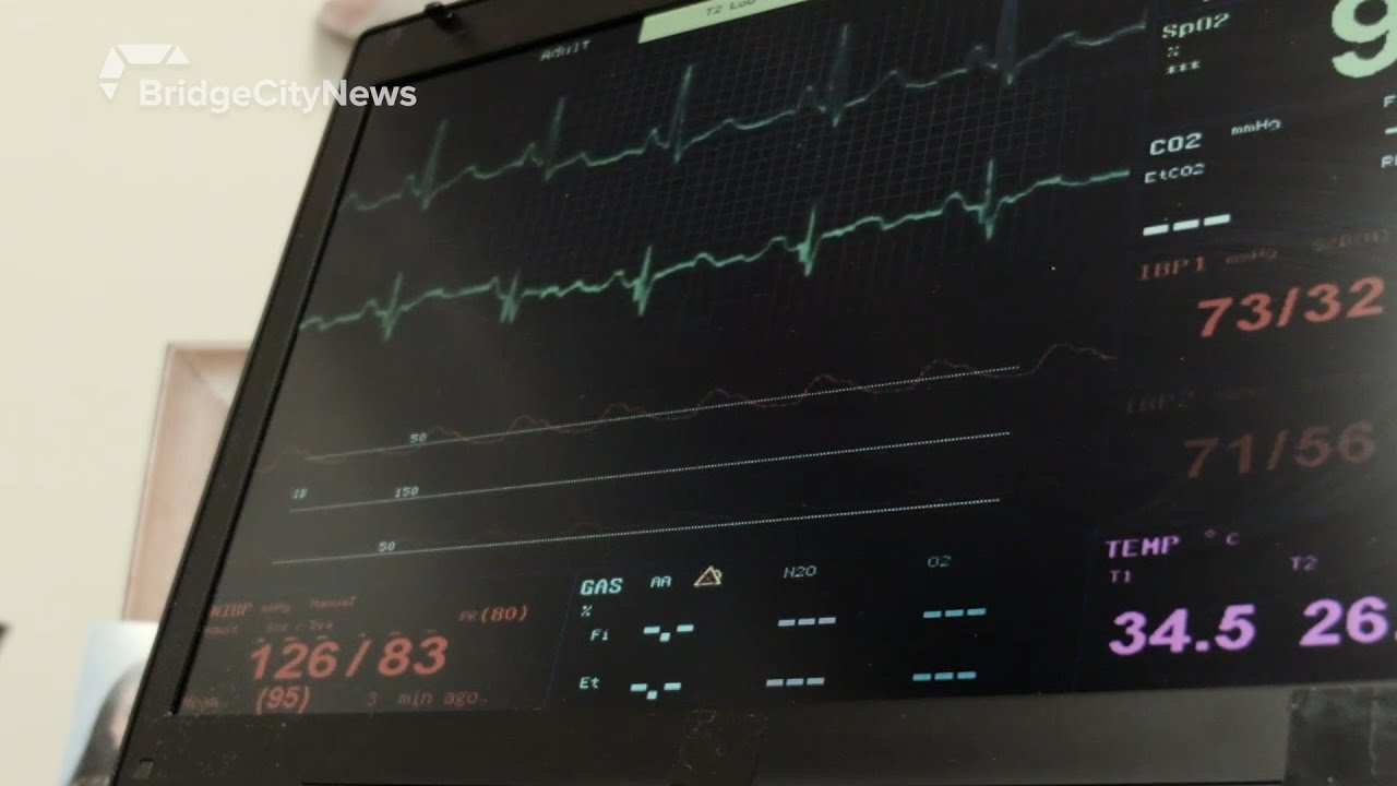 Alberta Healthy Living Program Goes Virtual - July 7, 2020 - Ainsley O ...