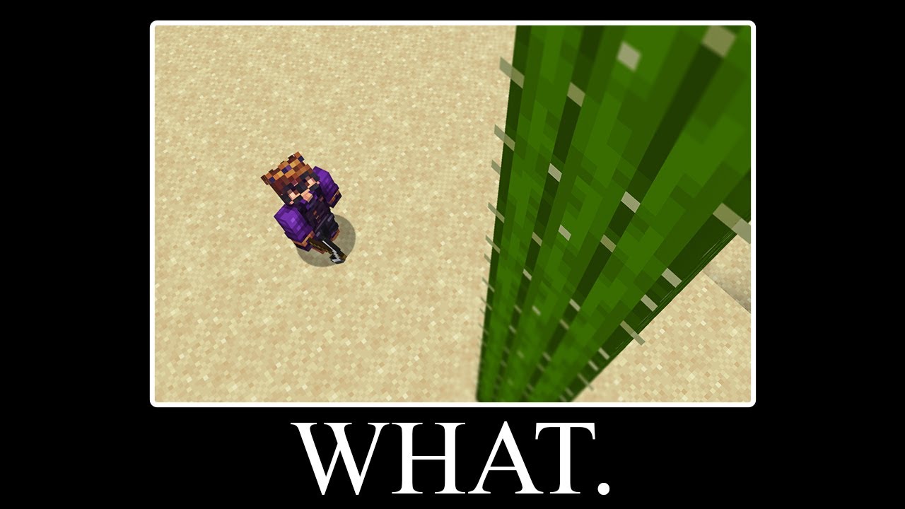 20 Minutes of the Silliest Minecraft Clips - YouTube
