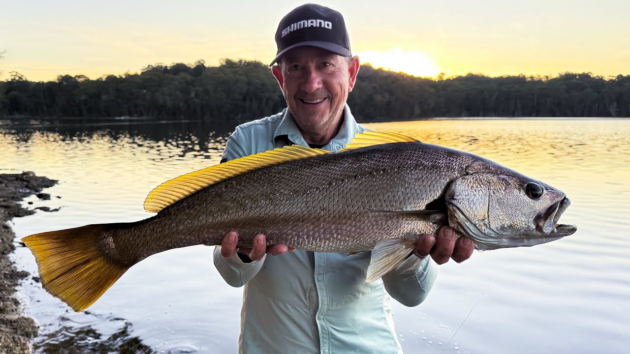 Lake Fishing BASICS - Classic Tips & Techniques! - YouTube