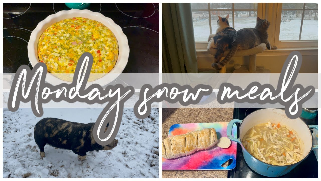 MONDAY MEALS || FULL DAY OF MEALS FOR OUR FAMILY! - YouTube