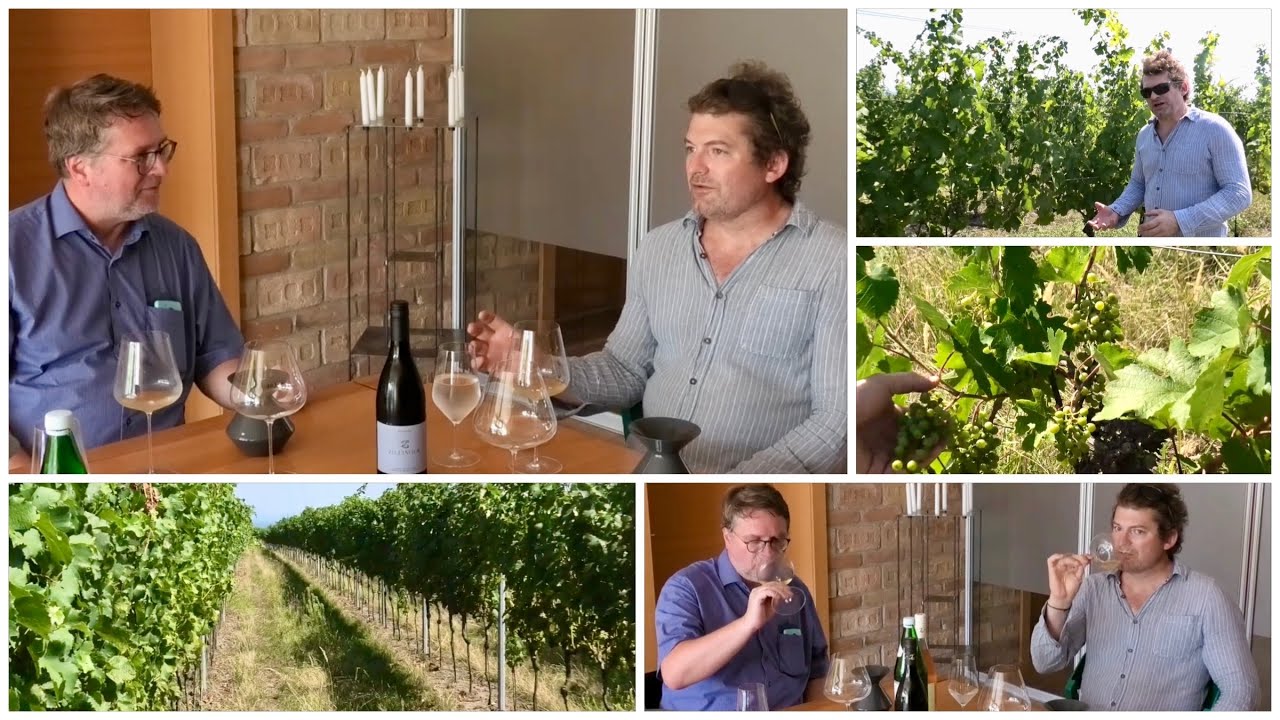 Folge 1160 On Tour - Zu Besuch beim Weingut Herbert Zillinger - YouTube