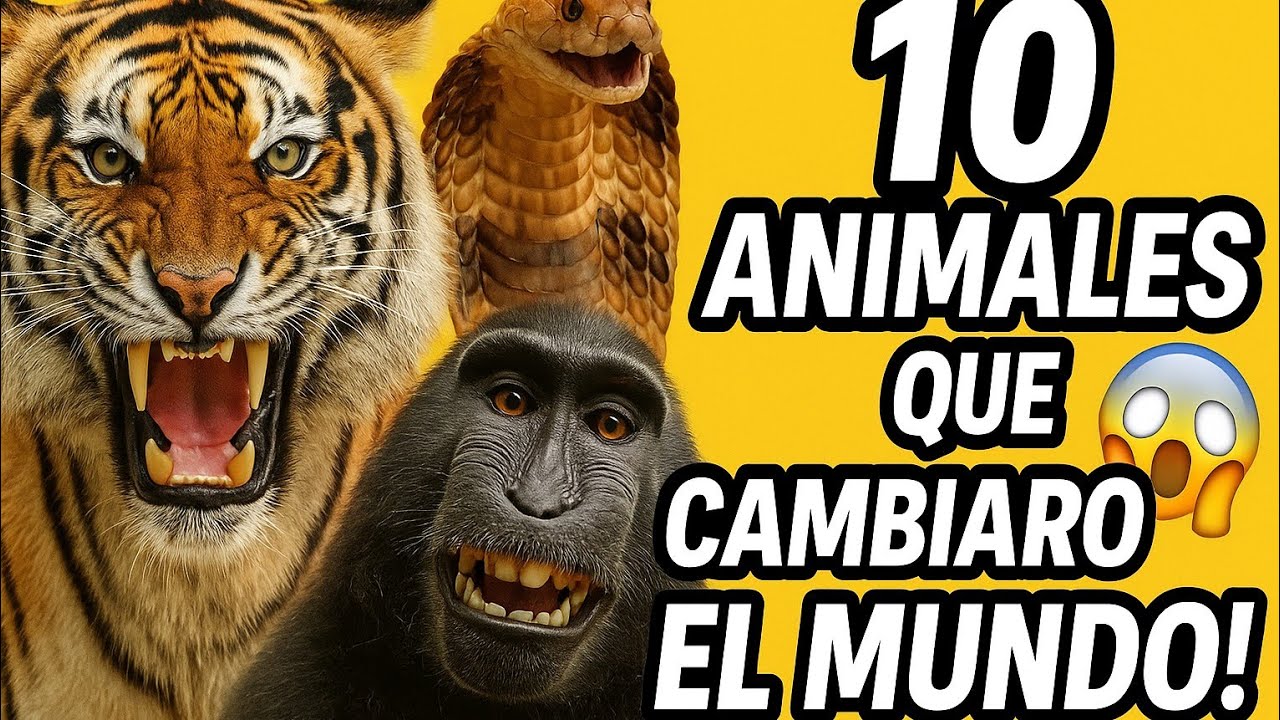 Top 10 Animales Más Famosos del Mundo 🐾 ¡Sus Historias Te Sorprenderán ...