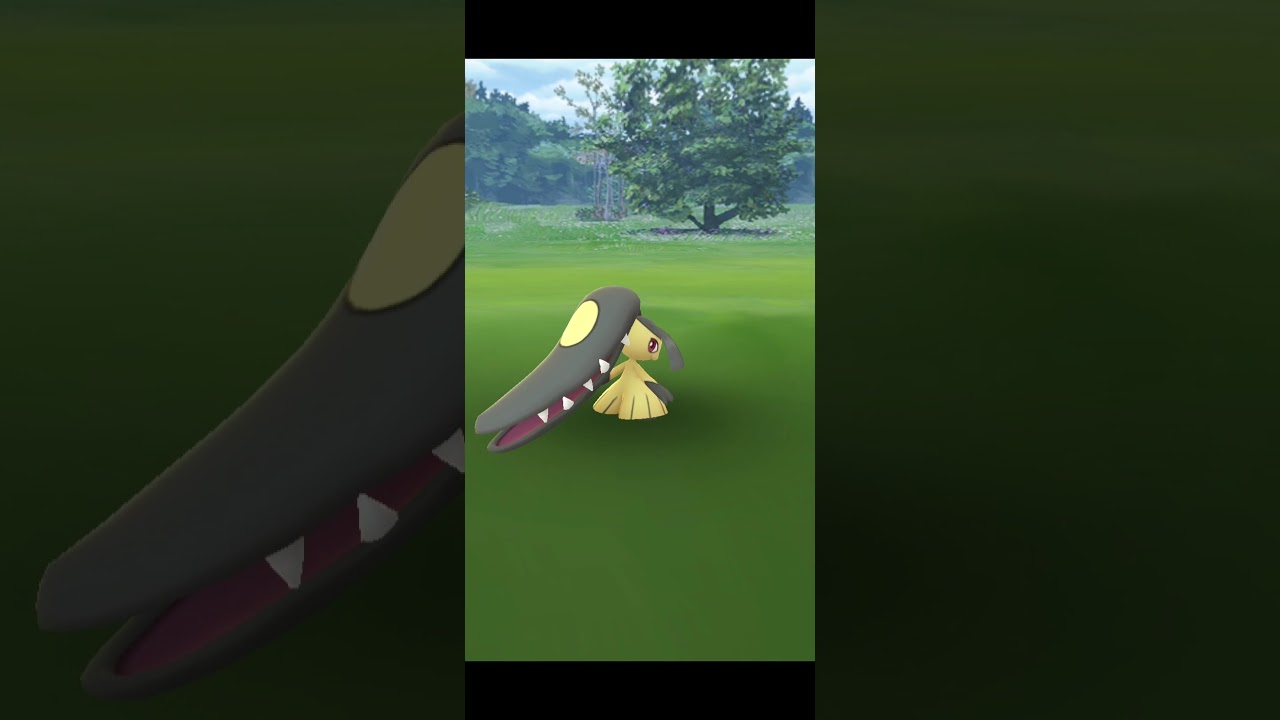 [포켓몬GO] 303.입치트(Mawile) / CP999 - YouTube