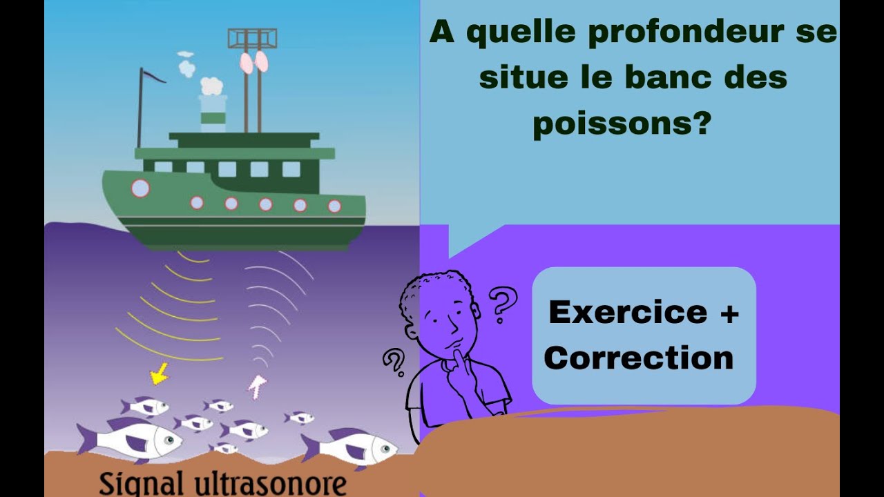 Comment Déterminer la Profondeur Idéale pour les Bancs de Poissons ...