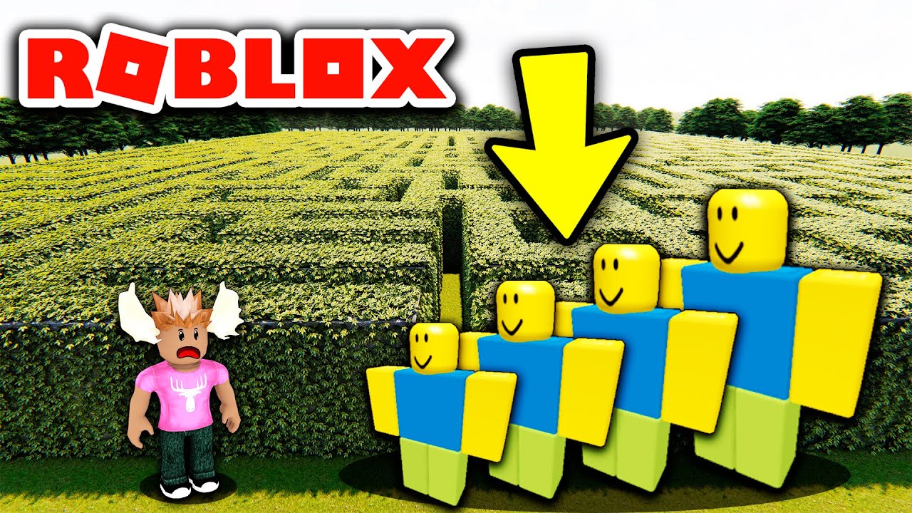 Elge Hæren I Labyrinten! - Roblox The Labyrinth Dansk med ...