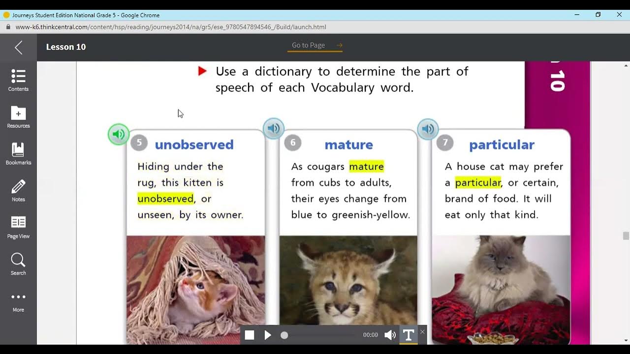 Lesson 10 Vocabulary Journeys Grade 5 - YouTube