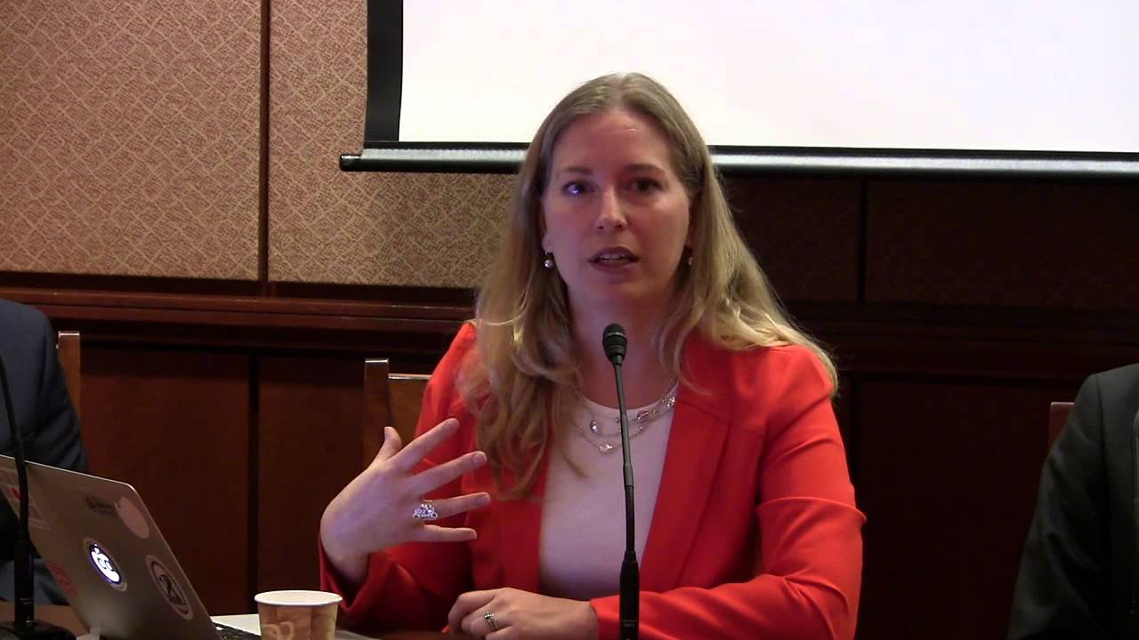 TACD event on IP in TTIP: June 25, 2014: Carolina Rossini, Public ...