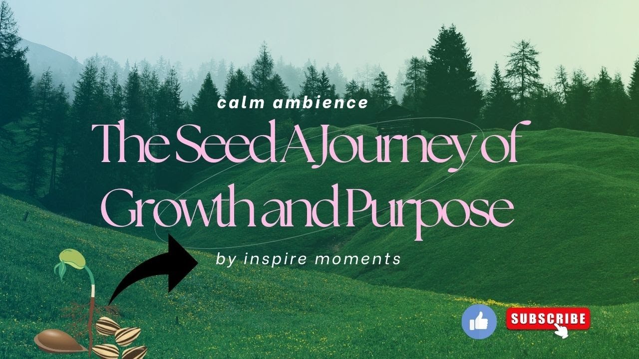 The Seed A Journey of Growth and Purpose#motivation #innerwisdom #facts ...