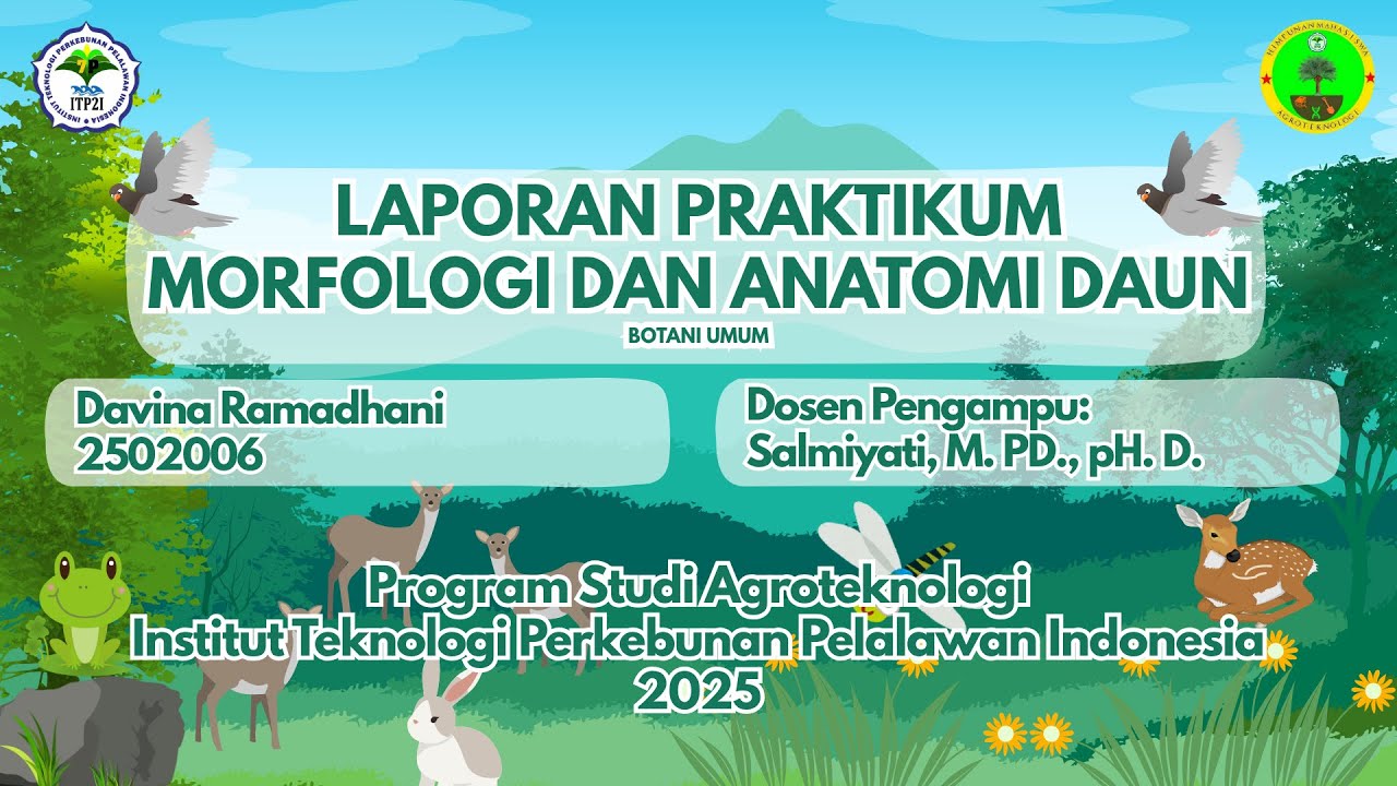 LAPORAN PRAKTIKUM MORFOLOGI DAN ANATOMI DAUN - BOTANI UMUM - YouTube
