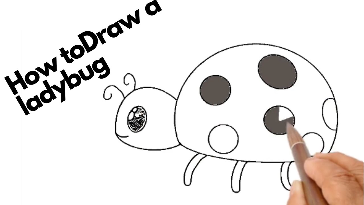 "Easy Step-by-Step Guide: How to Draw a Cute Ladybug for Kids" - YouTube