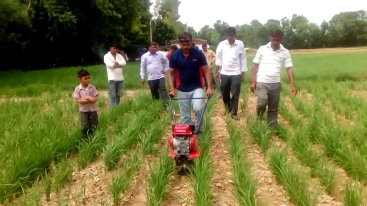 HONDA Mini F 300 Power Weeder. - YouTube