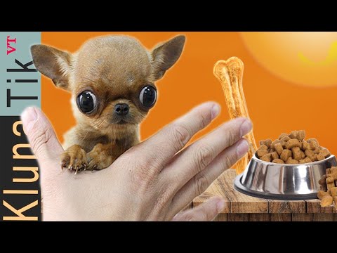 EATING DOG FOOD WITH LISA | Kluna Tik VT Dinner #82 | ASMR eating sounds no talk