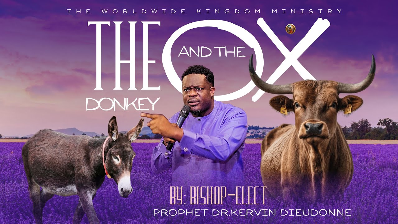The Ox & The Donkey | Bishop-Elect Prophet Dr. Kervin Dieudonne ...
