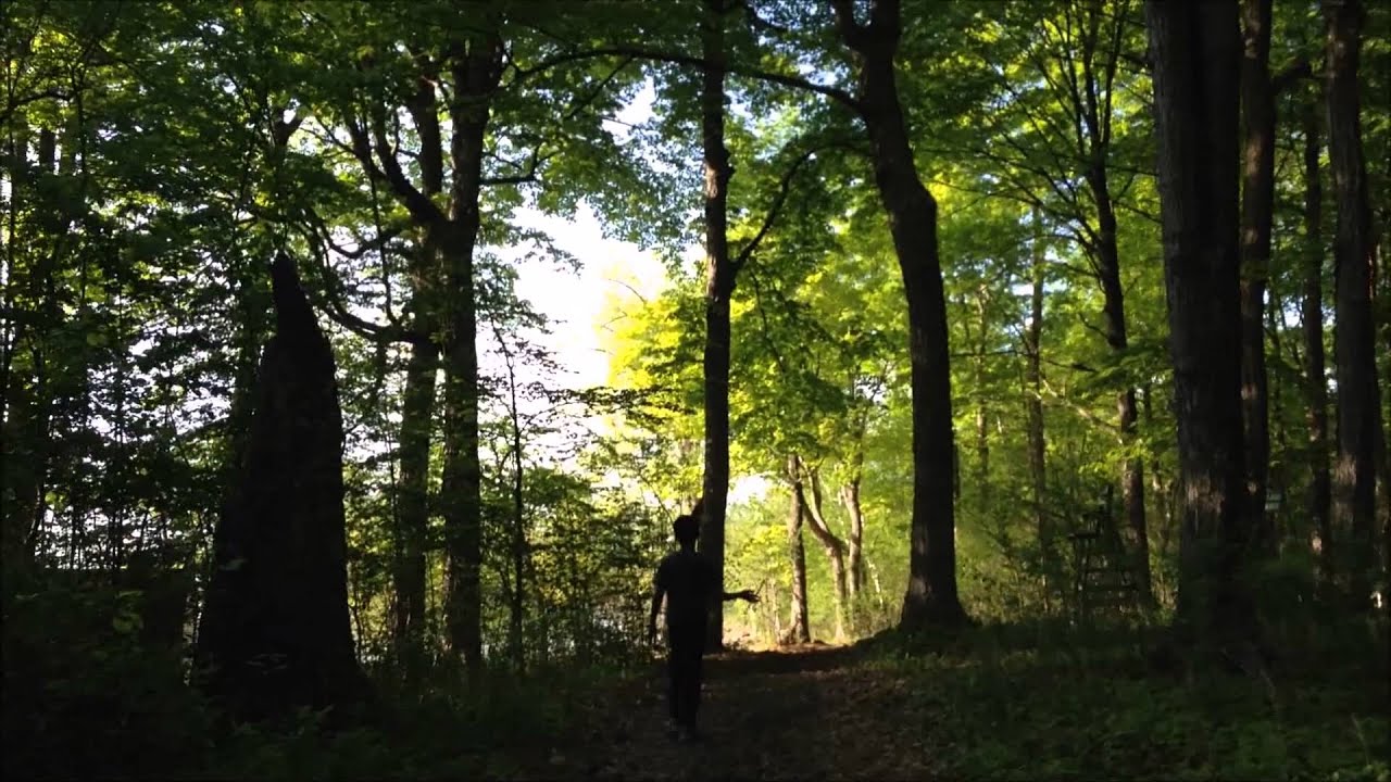 Marco Visit Parc Nature Du Cap Saint Jacques - YouTube