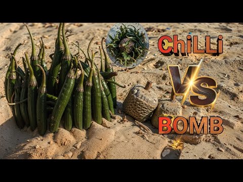 OUR First EXPERIMENT ON YouTube CHILLI vs BOMB 💣💣 - YouTube