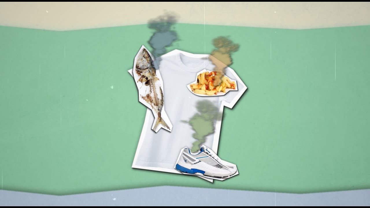 How do odor eliminators work on textiles? Getting rid of sweat, mildew ...