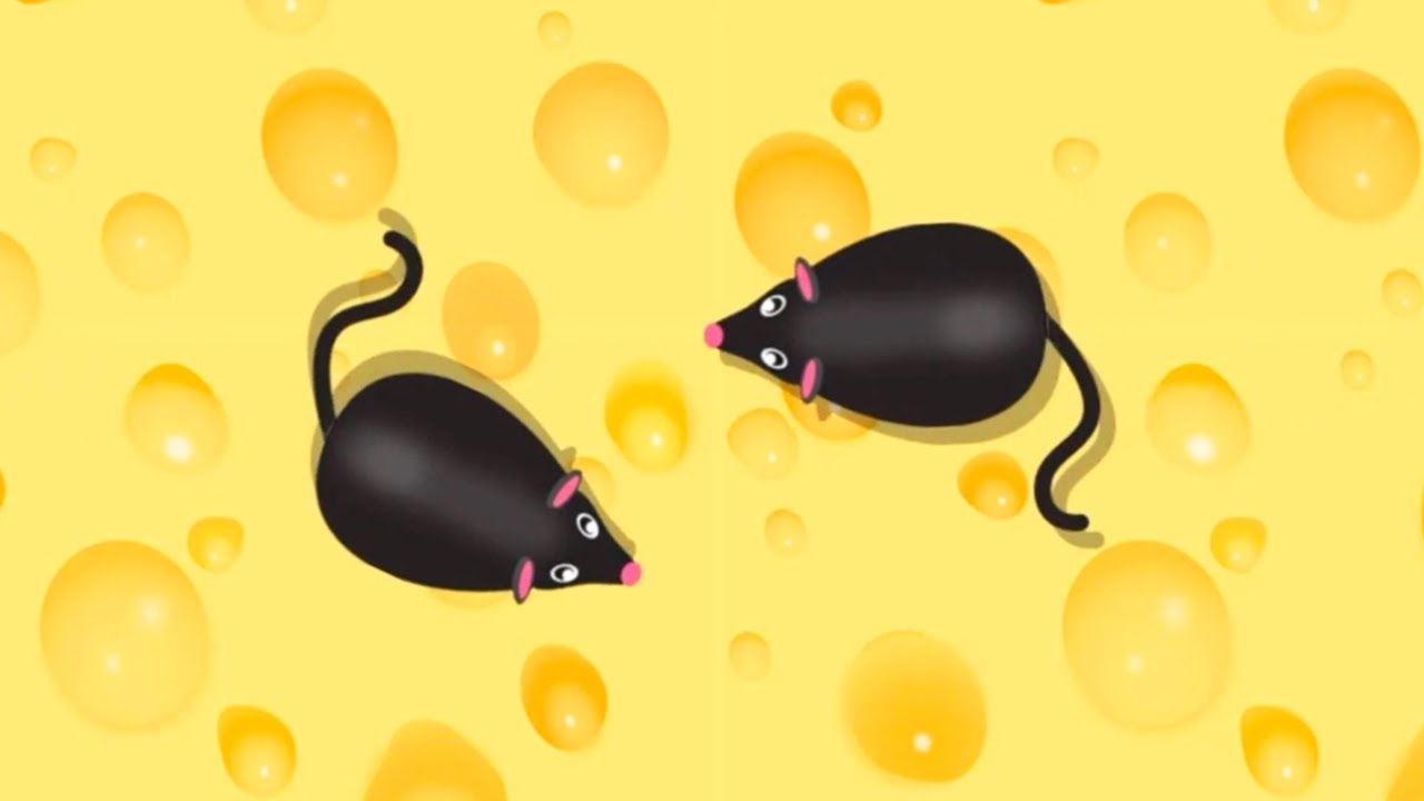 CAT GAMES - Catching Mice! Entertainment Video for Cats to Watch (1 ...