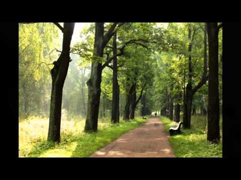 Requiem for Elmar Huseynov:autor by Serdar Zeynalov