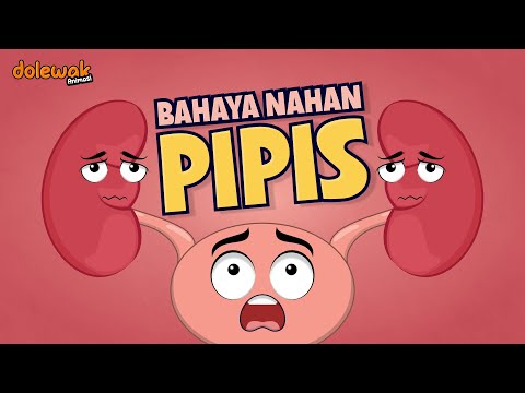 Bahaya Menahan Pipis - Animasi Organ Tubuh