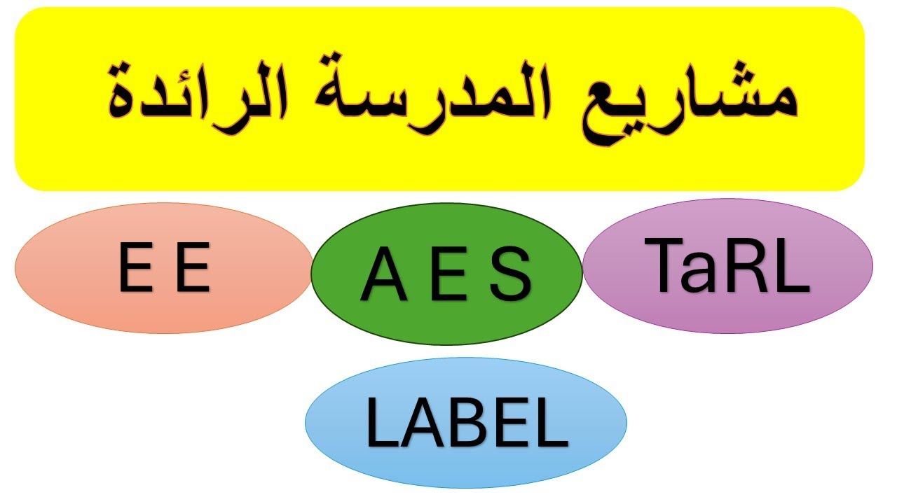 مشارع المدرسة الرائدة TARL , A E S , E E, LABEL - YouTube