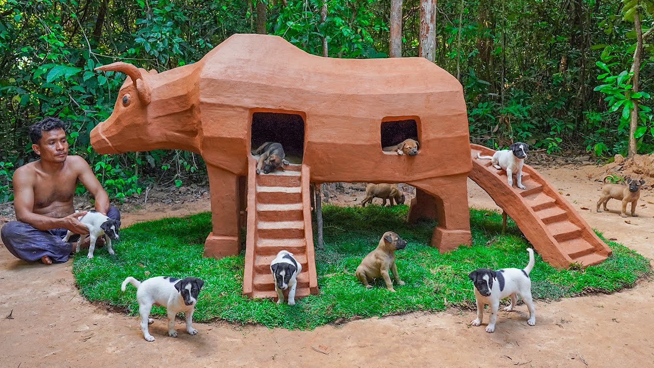 Rescue Floating Puppy Build Dog House Bull House For Them - YouTube