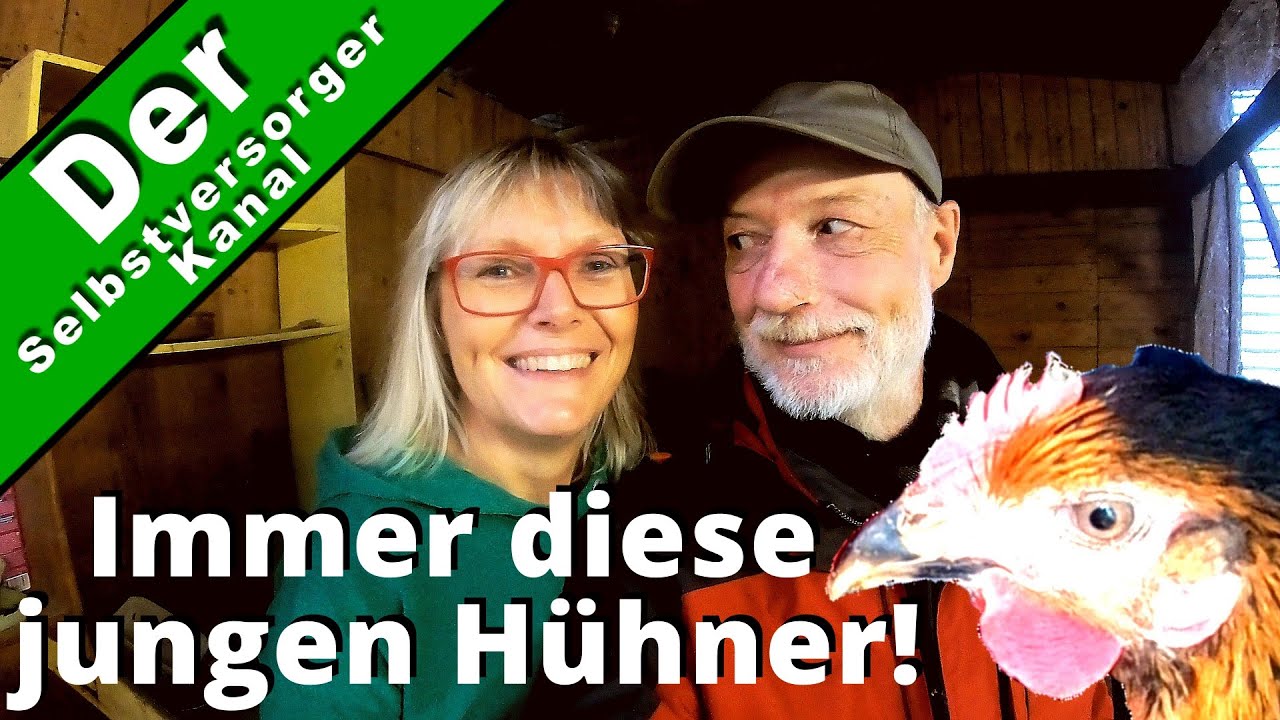 Immer diese jungen Hühner 😊 - YouTube