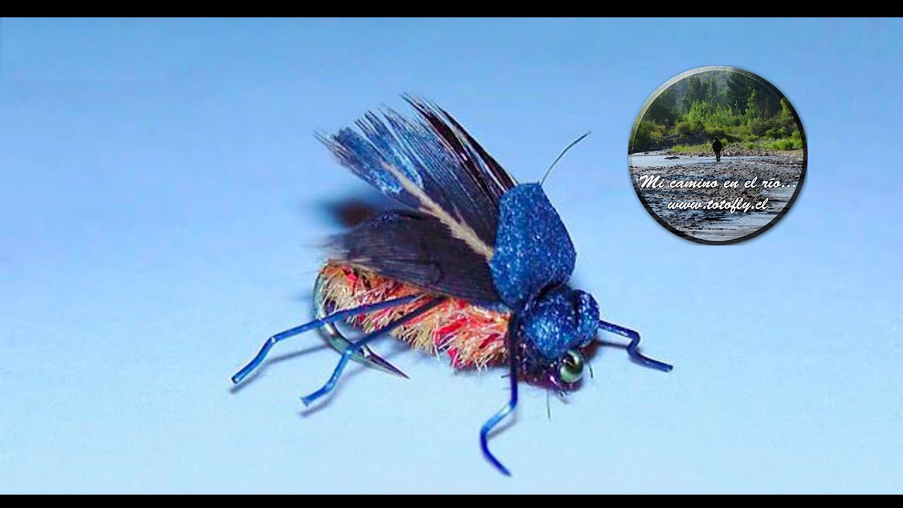 El Coliguacho - YouTube