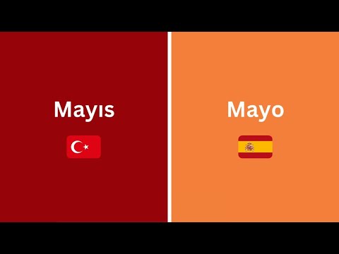 Türkçe ve İspanyolca Aylar ve Günler Öğrenin | Hızlı ve Kolay Dil Dersi | Polyglot Cafe 🌍