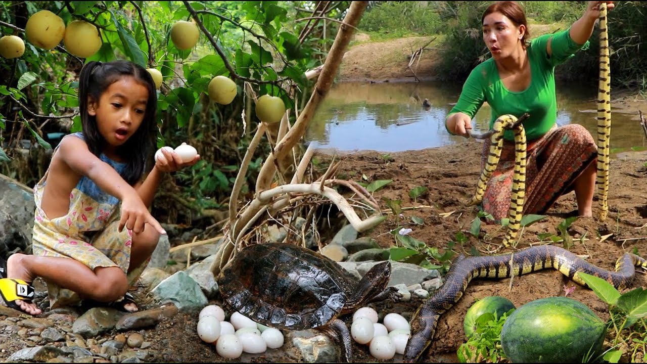 Catch snake & Pick egg for food- Mother cooking snake soup recipe ...