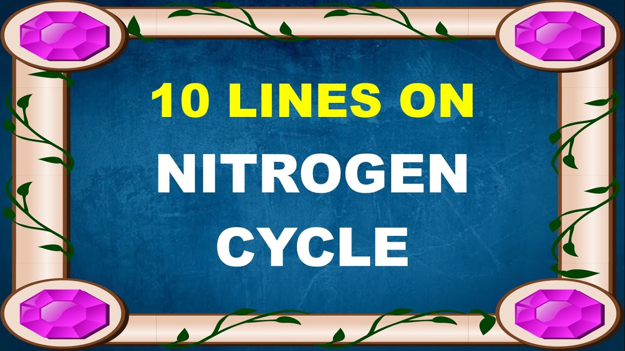 10 Lines on Nitrogen Cycle in English | Few Lines about Nitrogen Cycle ...