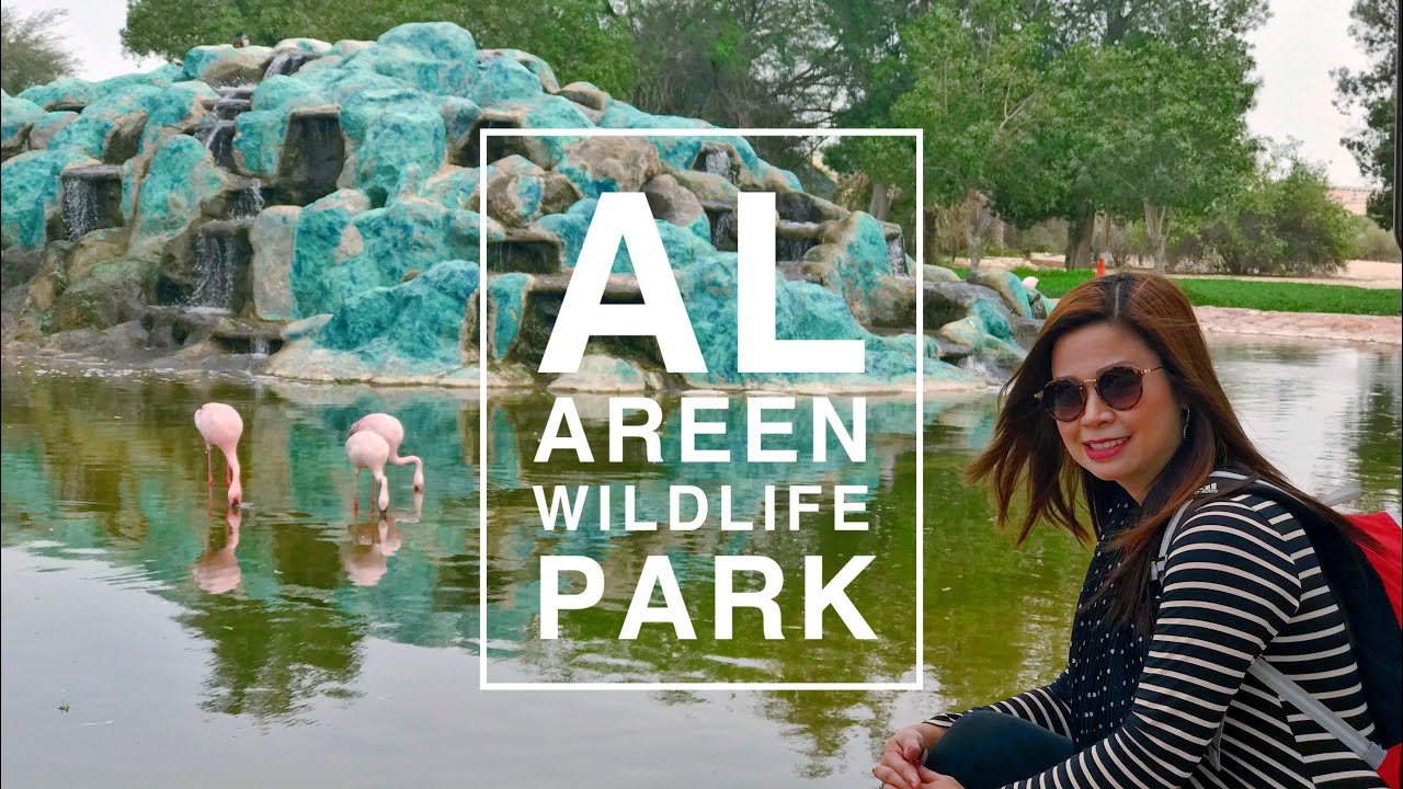 Al Areen Wildlife Park | Discover Bahrain #Travel #relaxing video - YouTube
