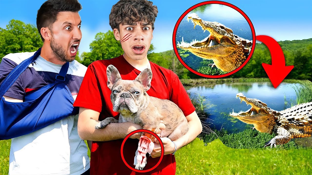 ALLIGATOR ATTACKED FERRAN..EMERGENCY! (The Royalty Family) - YouTube