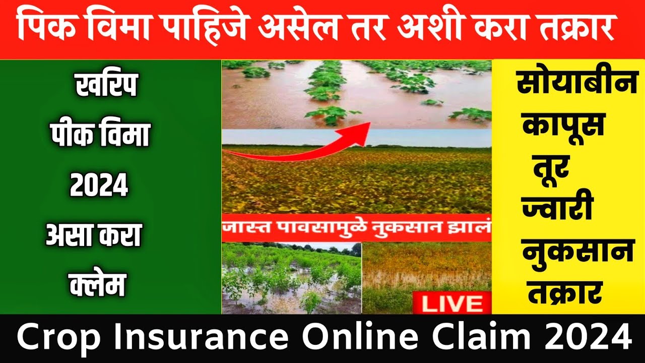 Crop insurance 2024 | crop insurance claim process 2024 | crop ...