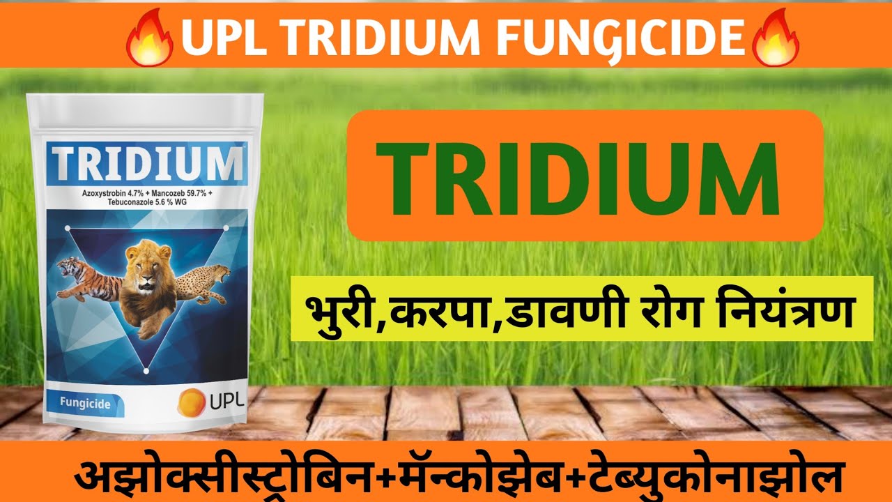 upl tridium fungicide | tridium fungicide | Effective control for downy ...