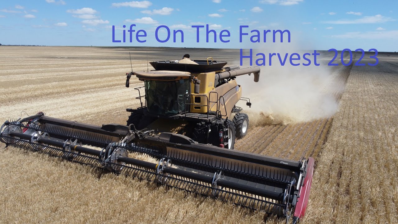 Life on the farm. Harvest 2023 - YouTube