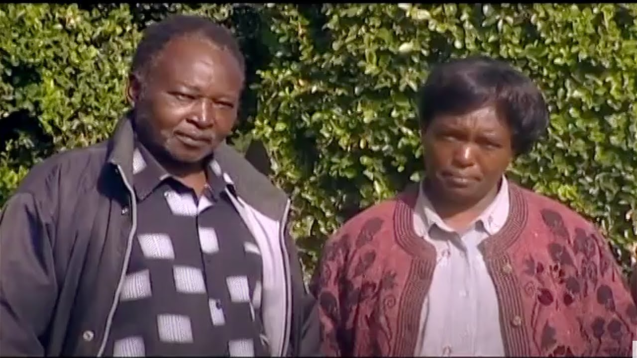 Shamba Shape Up Series 4 - Episode 12: Chickens, Farm Plan, Potatoes ...