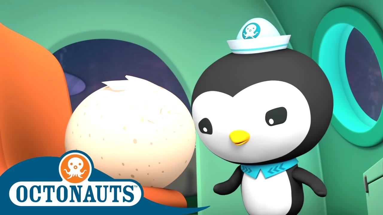 Octonauts - A Strange Egg Under the Sea | Cartoons for Kids ...