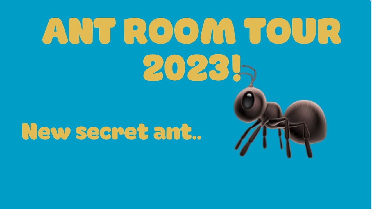 ANT ROOM TOUR 2023!!! - YouTube