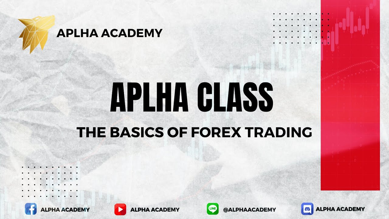 ALPHA Class : The Basics Of Forex Trading - YouTube