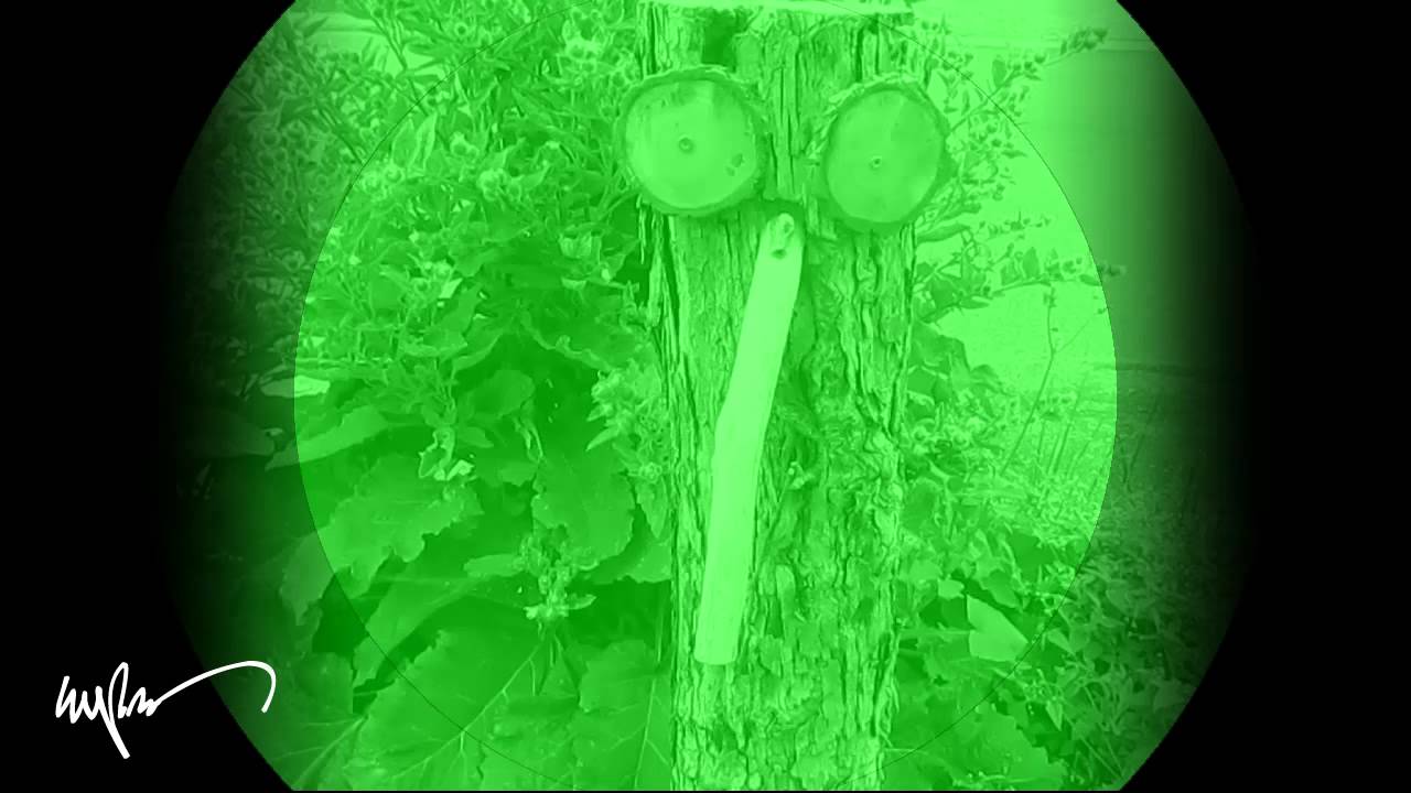 The X-Files: Mysterious Tree People Invasion [HD] - YouTube