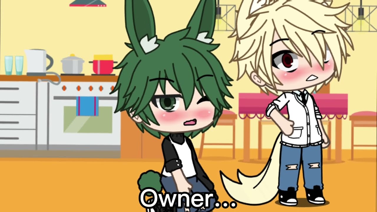 Owner… // Meme {BKDK} ~BakuDeku~ [BUNNY DEKU/WOLF BAKU AU] - YouTube
