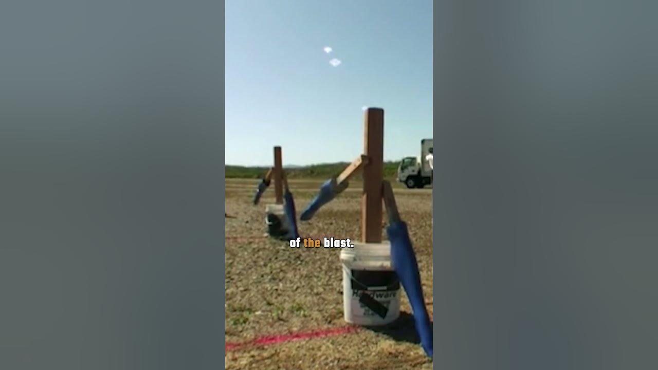 This MythBusters Experiment Went Way Too Far #mythbusters #science # ...