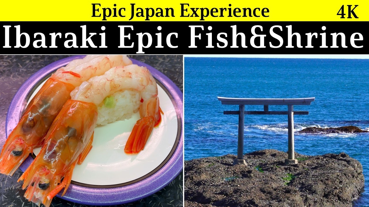 4K Japan Ibaraki pref: Epic Fish and Shrine sea side stroll! - YouTube