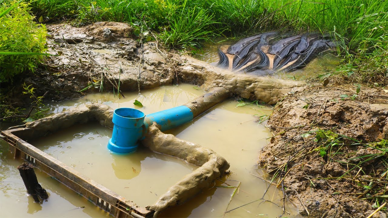 Tips for fishing. Tips for creating amazing traps with plastic baskets ...