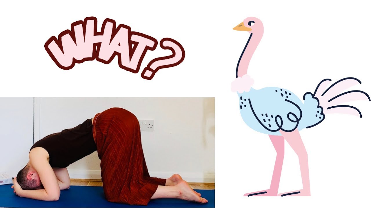 Yoga facile - La technique de l'autruche (61) - YouTube