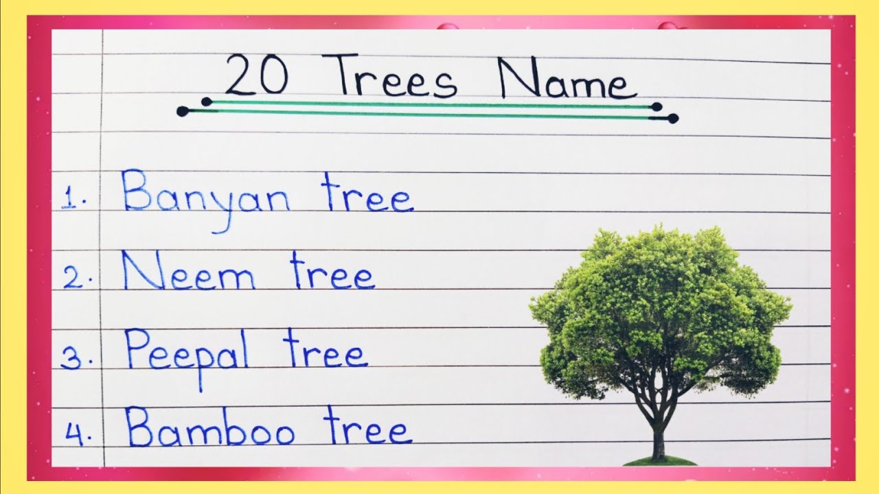 20 Trees Name in English || Different types of trees name in english ...