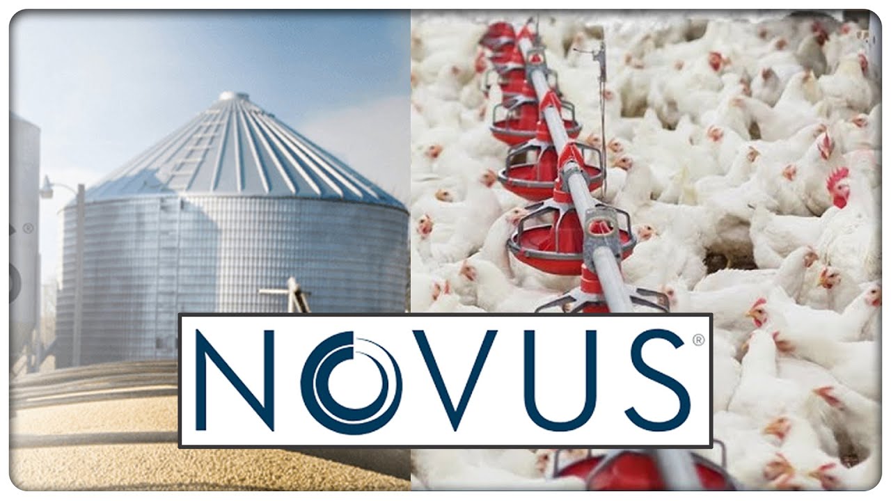 Novus Animal Feed Additive | Kolkata International Poultry Fair 2023 ...