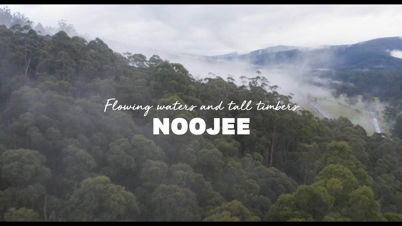 Visit Noojee — Flowing waters and tall timbers - YouTube