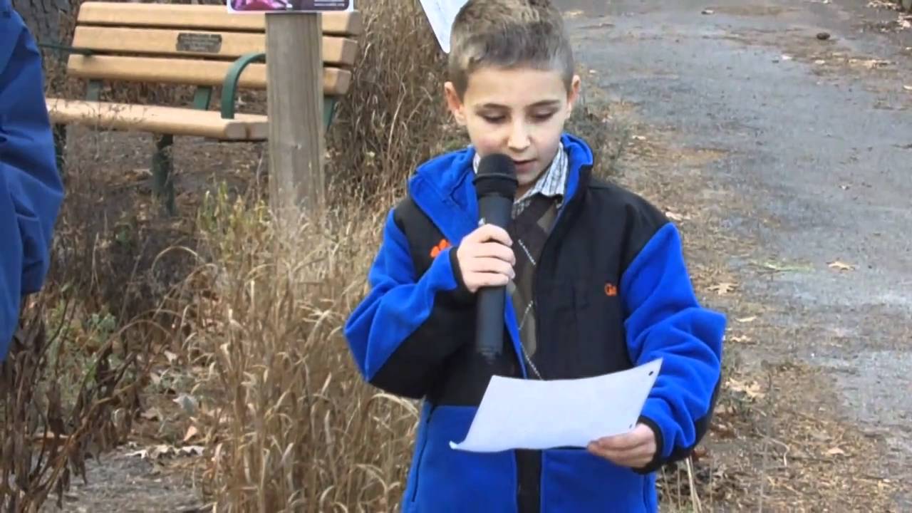 gavin gray news - YouTube