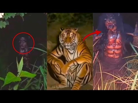 Tigers and Ancient Mystical Tales || 5 Ghost Sightings Caught on Camera